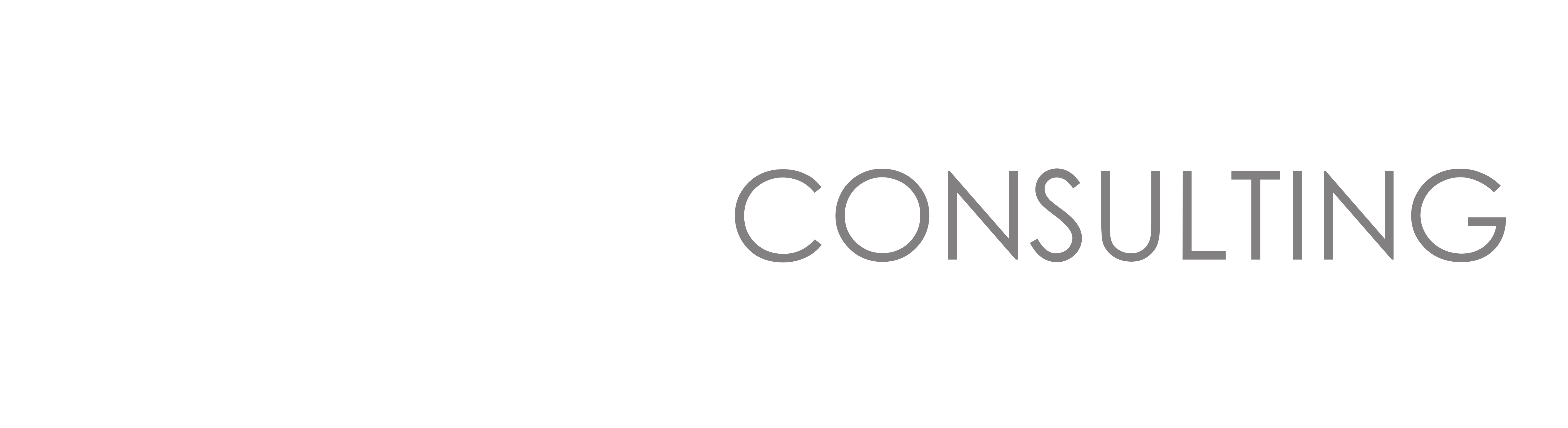 Core Consulting | Start Your Digital Revolution